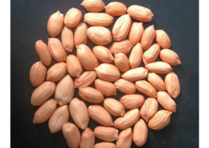 9 Fascinating Benefits Of Groundnut - The Wonder Seed! - Lifestylica