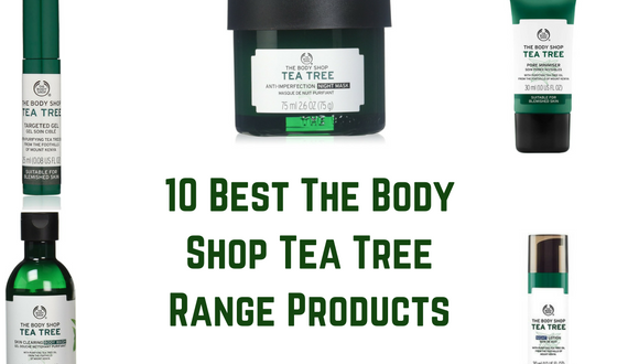 10 Best The Body Shop Tea Tree Range Products - Lifestylica